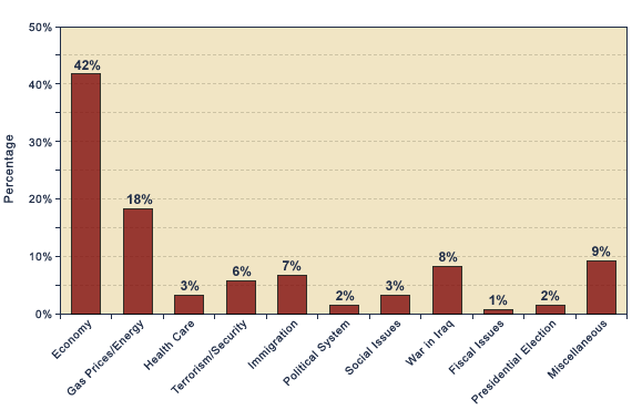 Texas Politics - The Most Important Issue (July 2008)