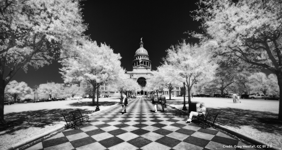 The Texas Politics Project